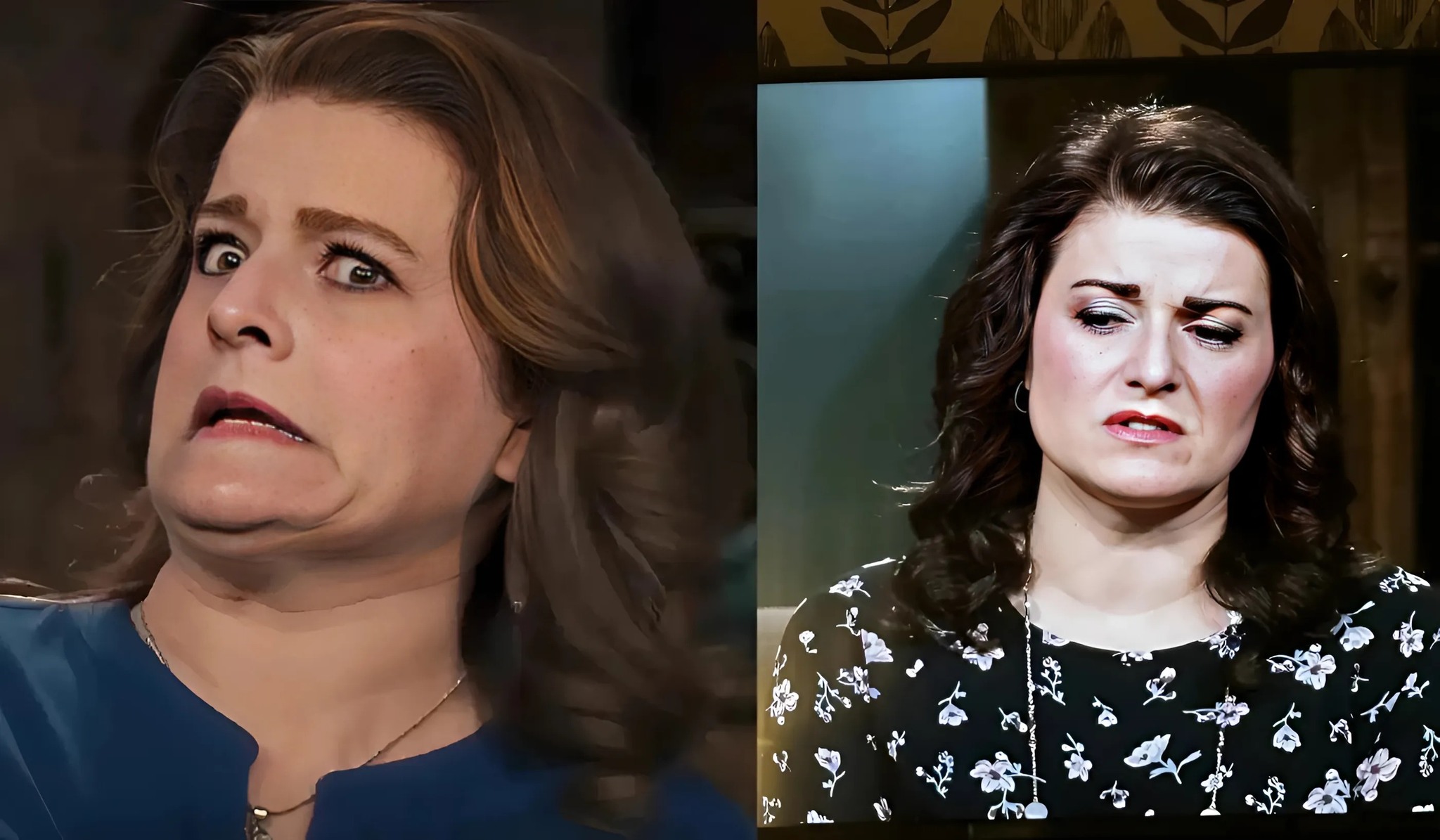 Sister Wives: Robyn Brown Had A Good Modeling Career Before Marrying Kody?