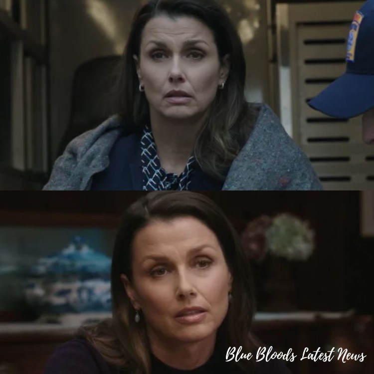 The Best Erin Reagan Episode Of Blue Bloods Ever